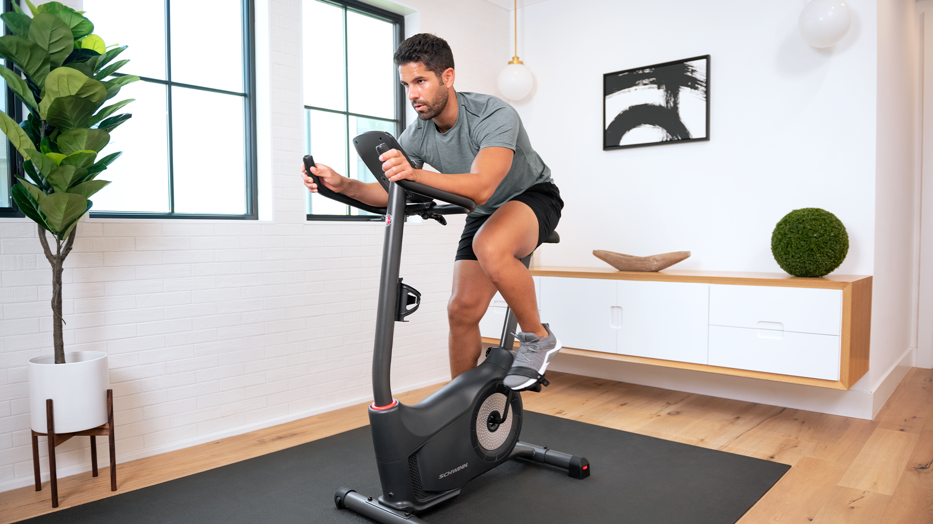 Schwinn 130 Upright Bike