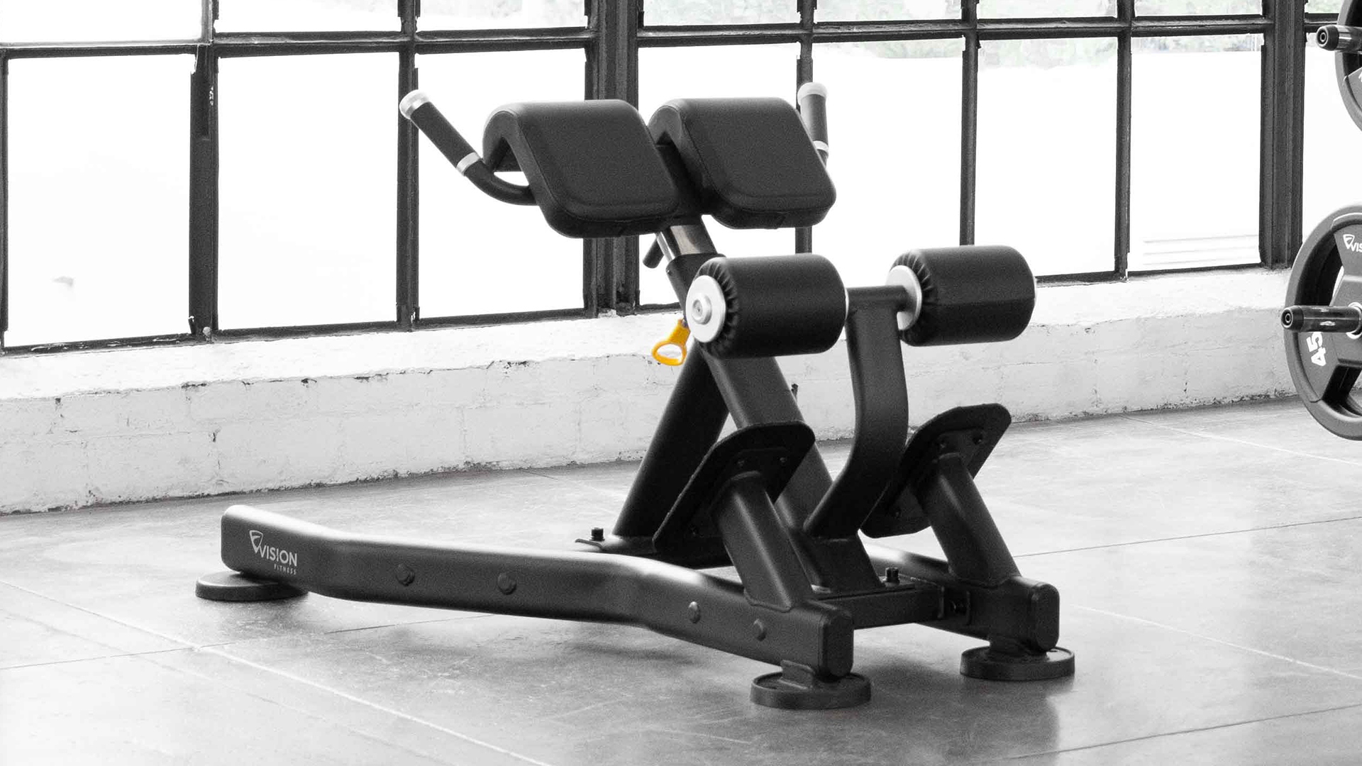 Vision Back Extension Bench